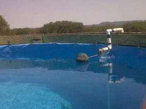 Minnow-Ranch-water-storage-tank – Water Storage Tanks, Inc.