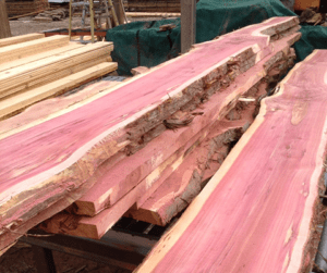 Eastern-Red-Cedar – Water Storage Tanks, Inc.